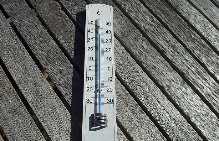The 10 Best Thermometer for Weather Data | 2019 - Reviews Outdoors